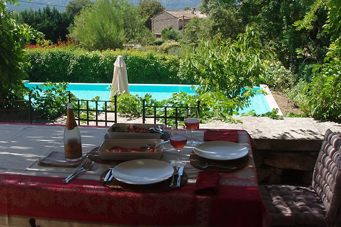 Classical Provencal Villa - Provence